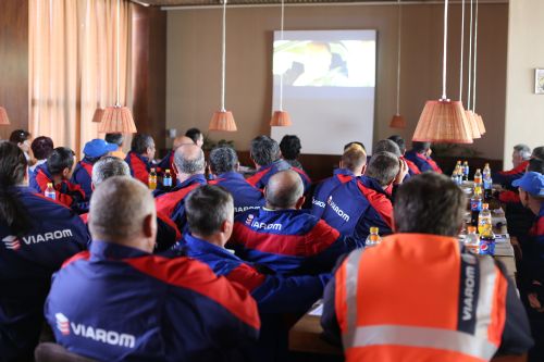 VIAROM organizează Ziua Internațională a Securității în Muncă – ARENA ...